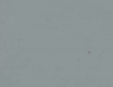 1955 SHG Texture finish 1 mm Decorative Laminate | Material Depot