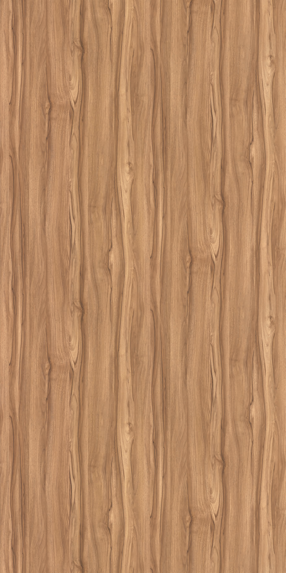 2805 Classic Victorian Amber Walnut 8 ft x 4 ft OSR Ecolite Grade ...