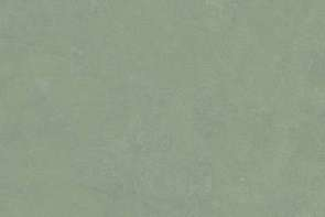 Native Green 300x450 mm Glossy Finish Vitrified Wall Tile - 8 mm ...