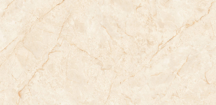 Leopard 6393 1200x600 mm Glossy Finish Premium Glaze Vitrified Tile - 9 ...