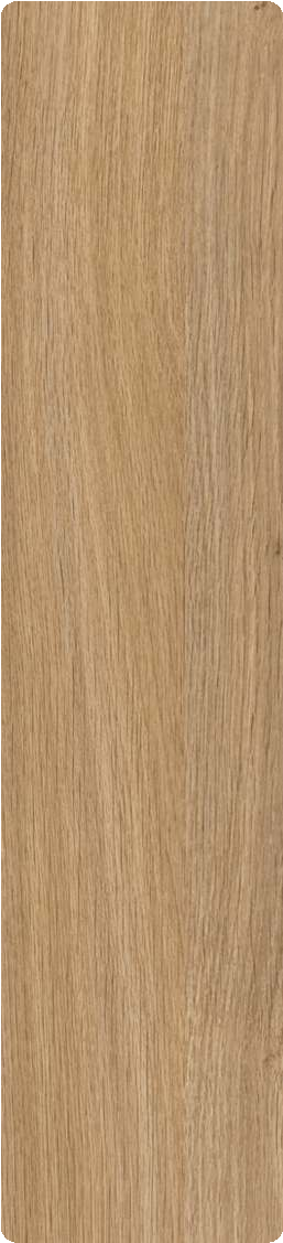 Shop Wood Glossy finish Advance Laminates DG 6106 Santana Oak Light ...