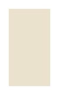 231 HGL Alimo Dreamy Series Wheat Beige 8 ft x 4 ft High Gloss Finish ...