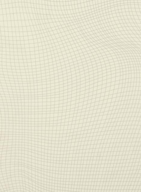 Watwin 2024 Light Web 8 ft x 4 ft Patternia Series PVC Laminate - 1.25 mm