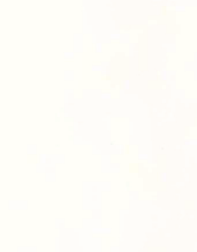 White Solid Colors Look Matte Finish PVC Laminate - 1.2mm | MRK 9202 ...