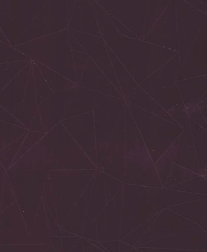 A close-up of a Brown 51360 QT Black Currant with a Texture finish ...