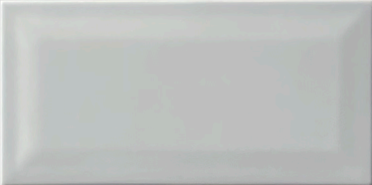 TL 00005 F 8x4 inches Cool Grey Bevelled Glossy Finish Tile | Cool Grey ...